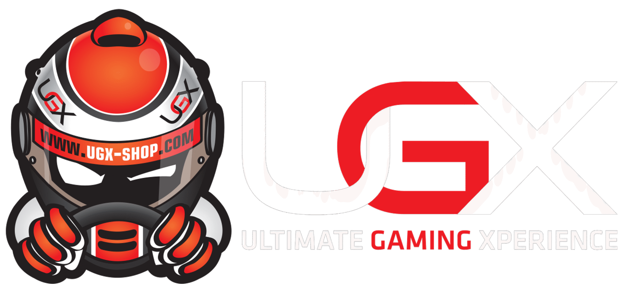 Formula 1 replica car – UGX Race simulators